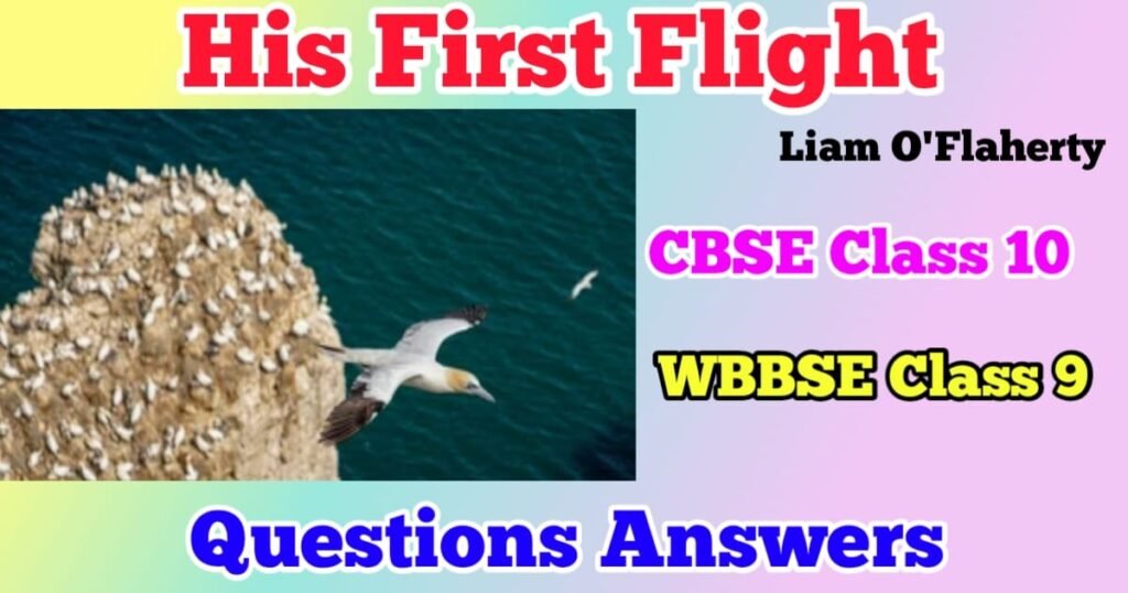 His First Flight Class 9 Question Answers And Bengali Meaning